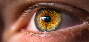 Qu’est-ce qui détermine la couleur de nos yeux ? | Neoris Eyes