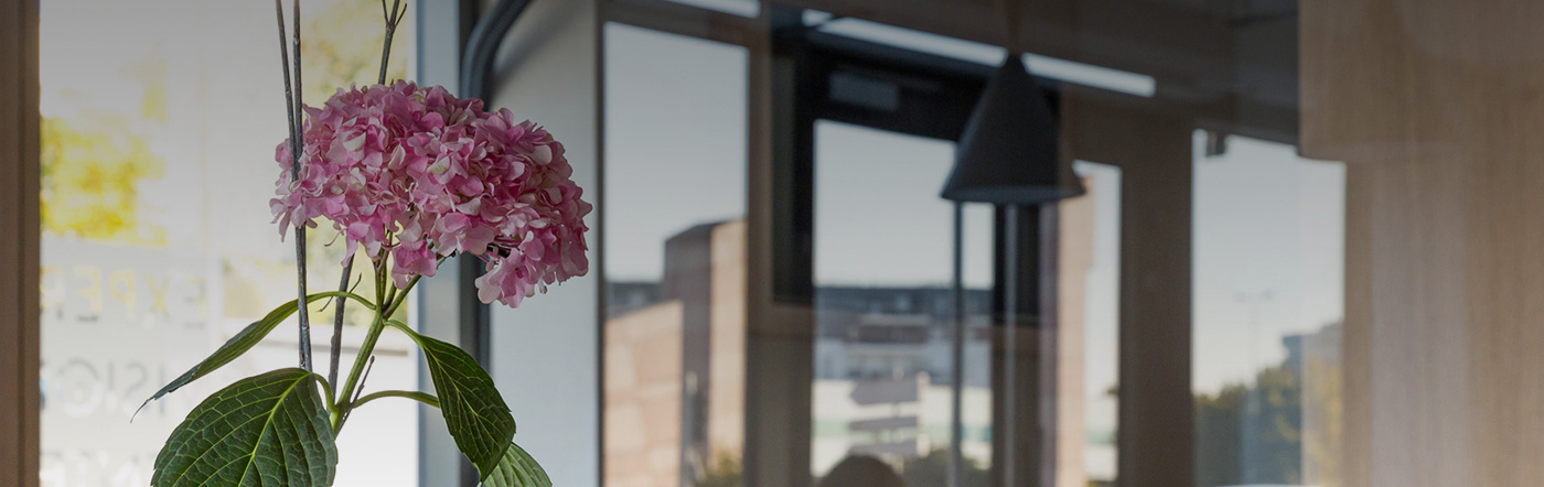 Frequently Asked Questions - Eye Color Change | Neoris Eye