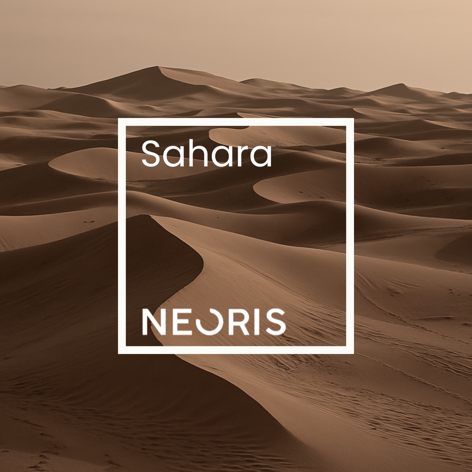 Our palette of eye colors to enhance your regard | Neoris Eyes